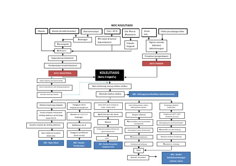 Woc Cholelithiasis | PDF