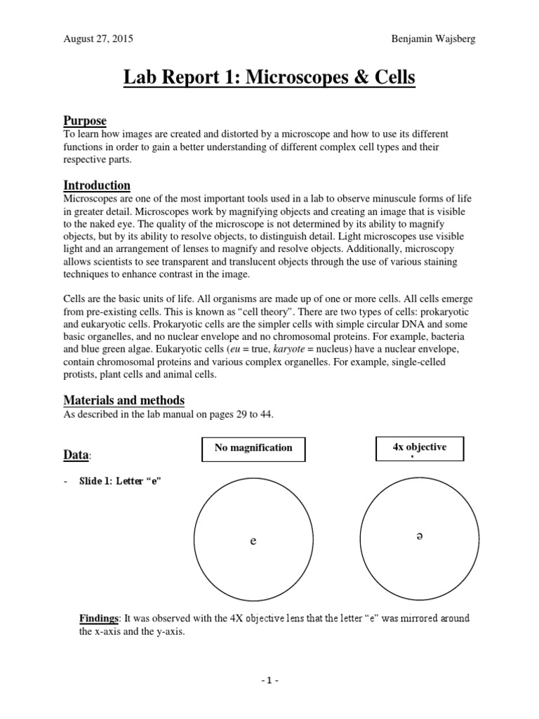 Microscope Lab Letter E