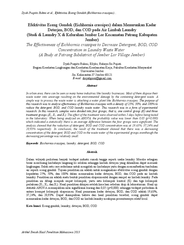 Eceng Gondok 2 PDF | PDF