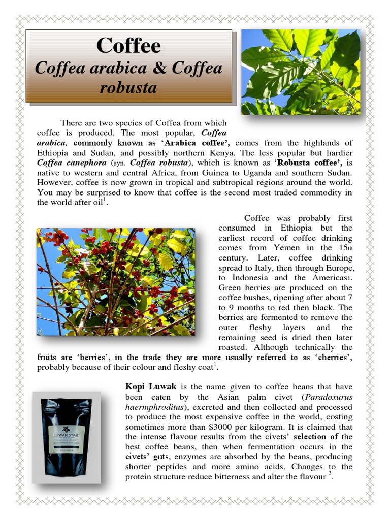 Coffee Varieties: Arabica vs. Robusta | PDF | Coffee | Domesticated Plants
