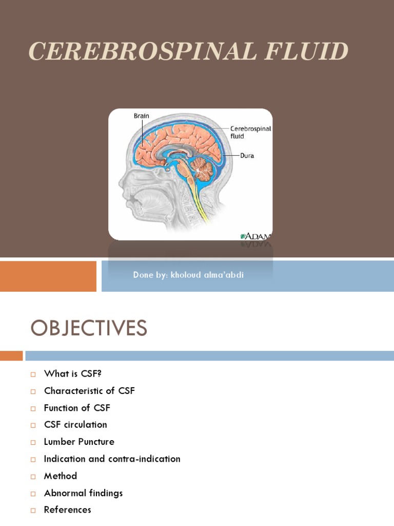 Cerebrospinal Fluid | PDF | Cerebrospinal Fluid | Central Nervous System