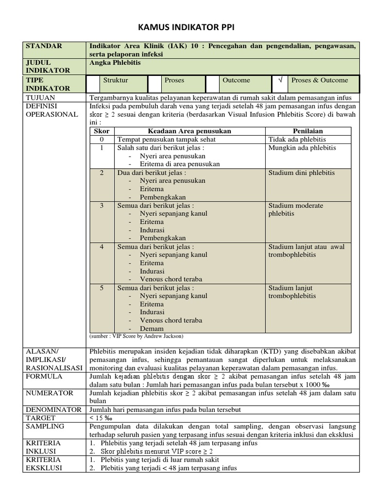 Kamus Indikator PPI | PDF