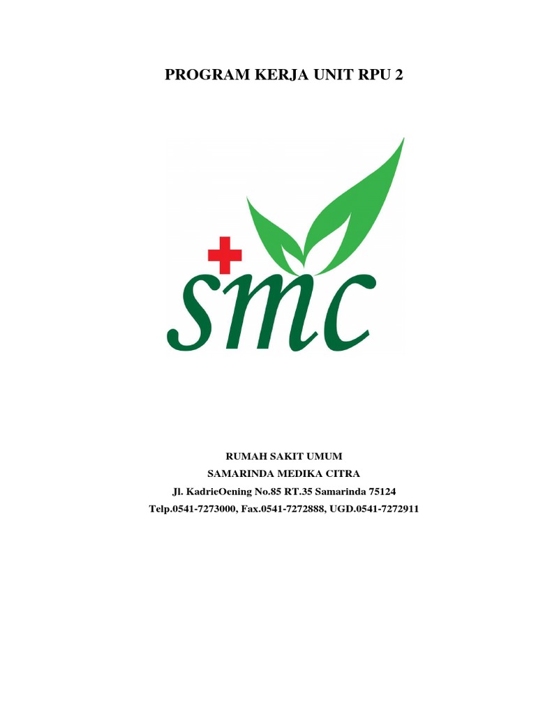 Program Kerja Unit Rpu 2 Rev | PDF | Bisnis | Kesehatan Holistik