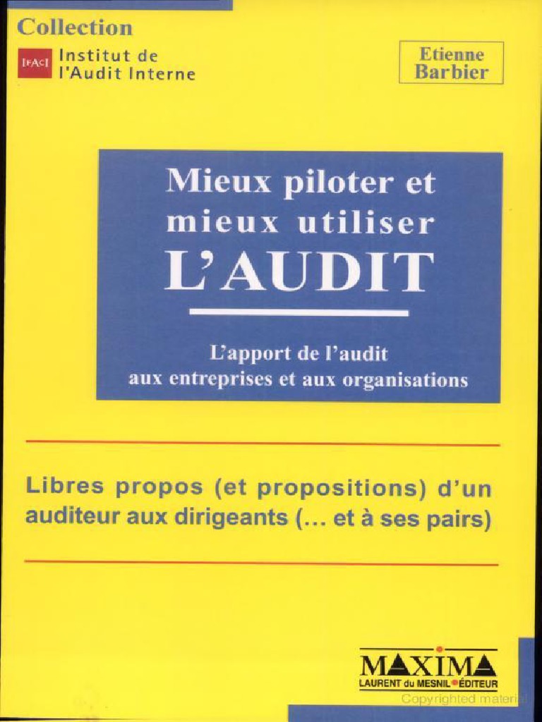 Mieux Piloter Et Mieux Utiliser L'audit PDF | PDF