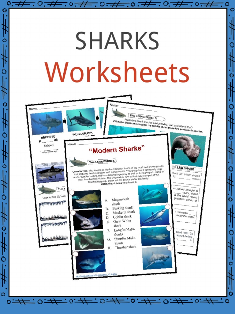 Sample SHARKS Worksheet PDF | PDF | Sharks | Tooth
