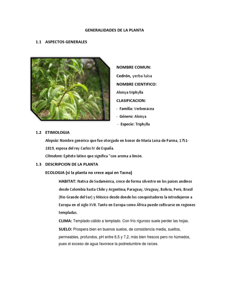 Cedron | PDF | Naturaleza