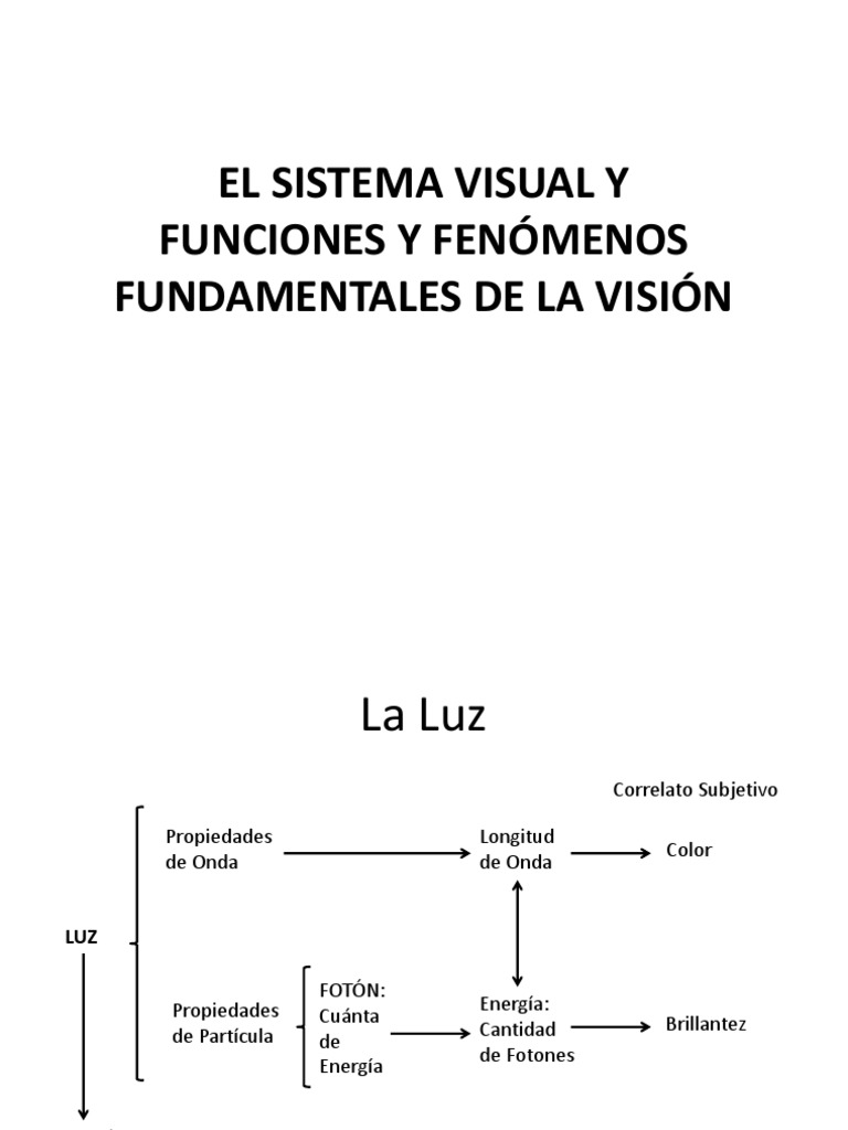 03-El Sistema Visual, Funciones y Fenómenos Fundamentales | PDF ...
