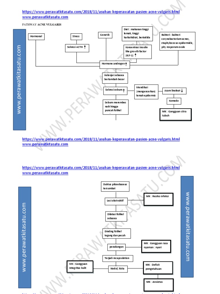 Pathway Acne Vulgaris | PDF