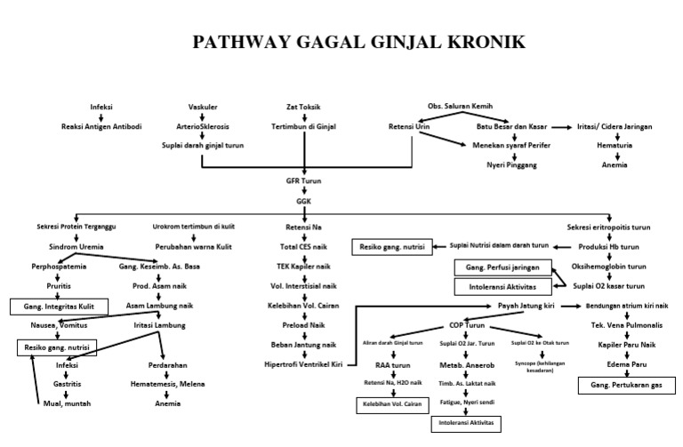 Pathway GGK | PDF