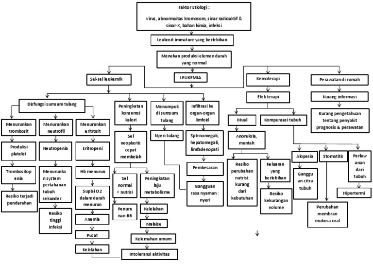 Pathway Leukemia Pada Anak | PDF