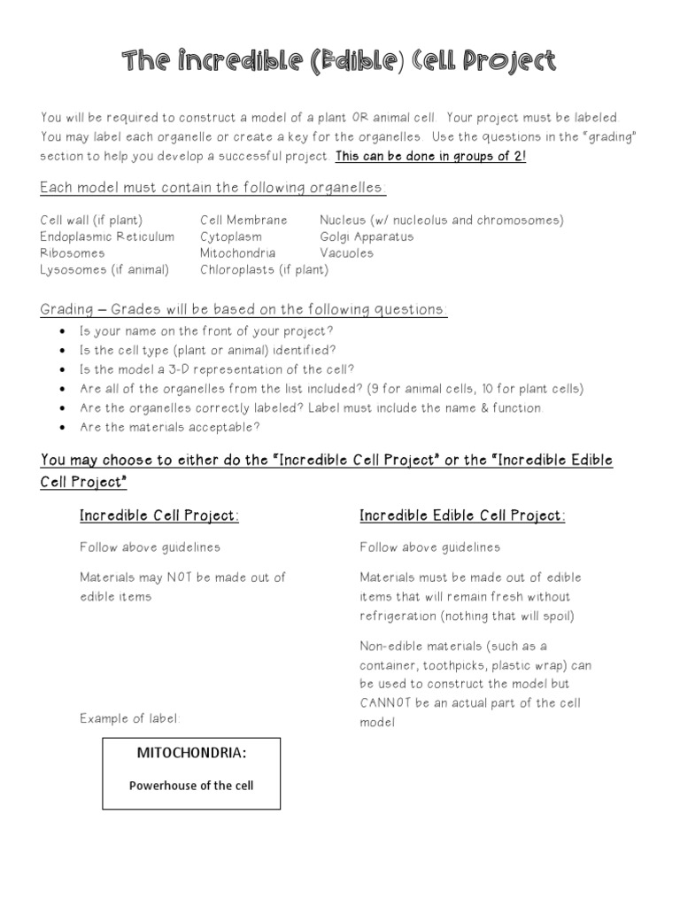 Edible Cell Model Project Guide | PDF | Science & Mathematics | Computers