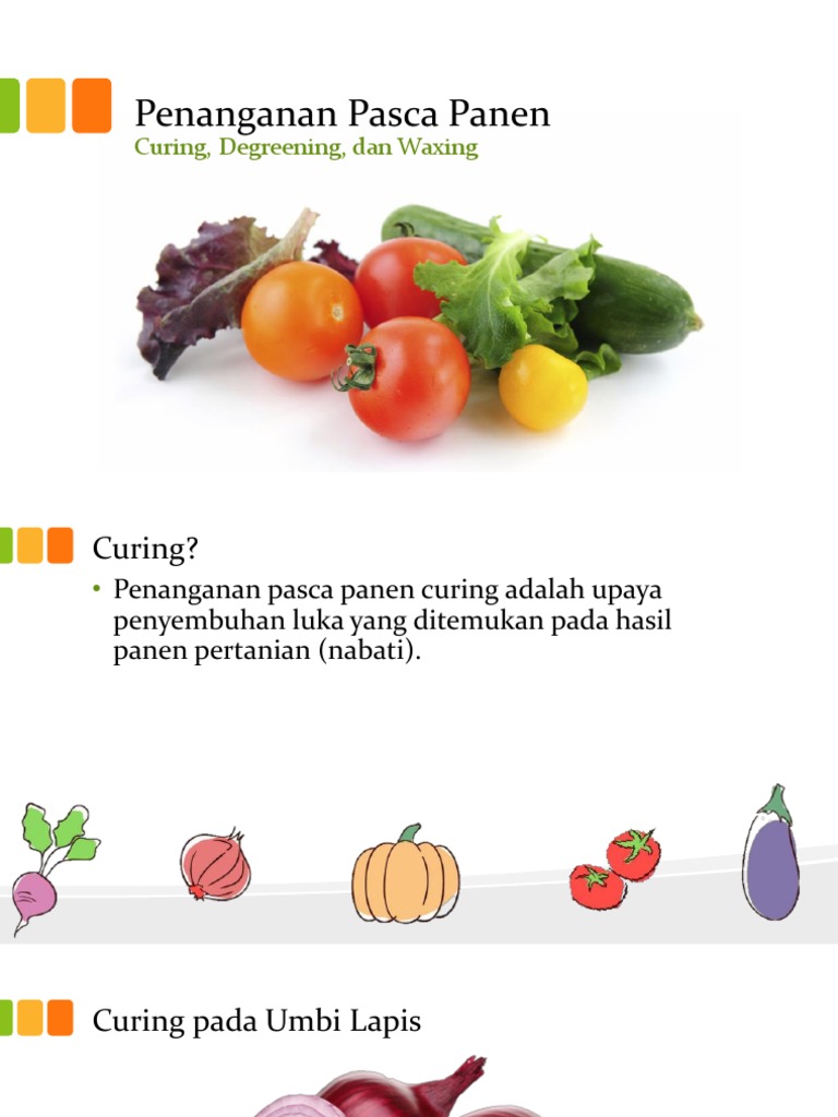 Kel.1 REV Curing, Degreening Dan Waxing | PDF