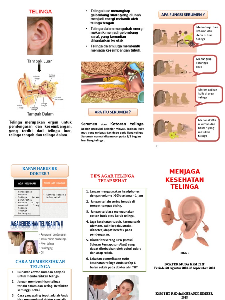Leaflet Menjaga Kesehatan Telinga | PDF