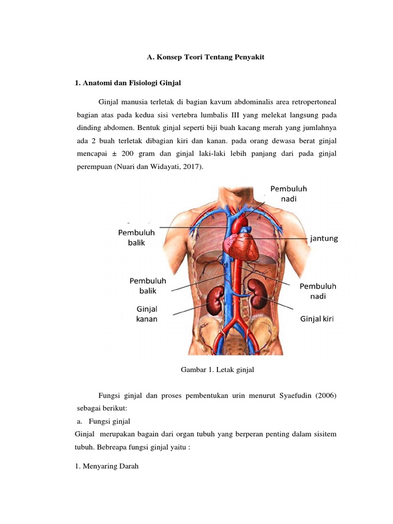 LP CKD Hipoglikemia Fix | PDF