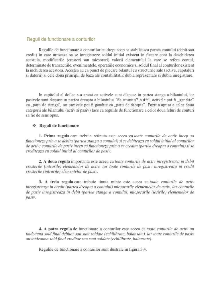Reguli de Functionare A Conturilor | PDF