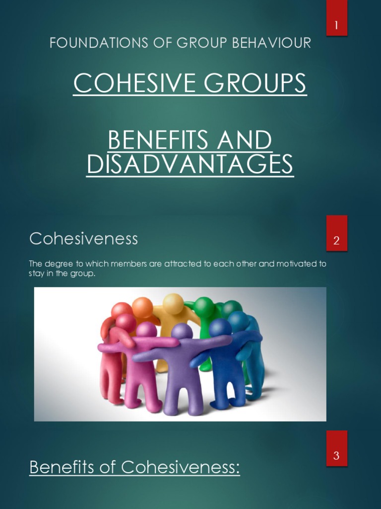 Group Cohesiveness | PDF