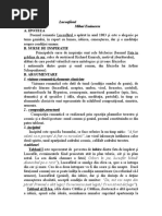 Structuri Eseu Bac Romana | PDF