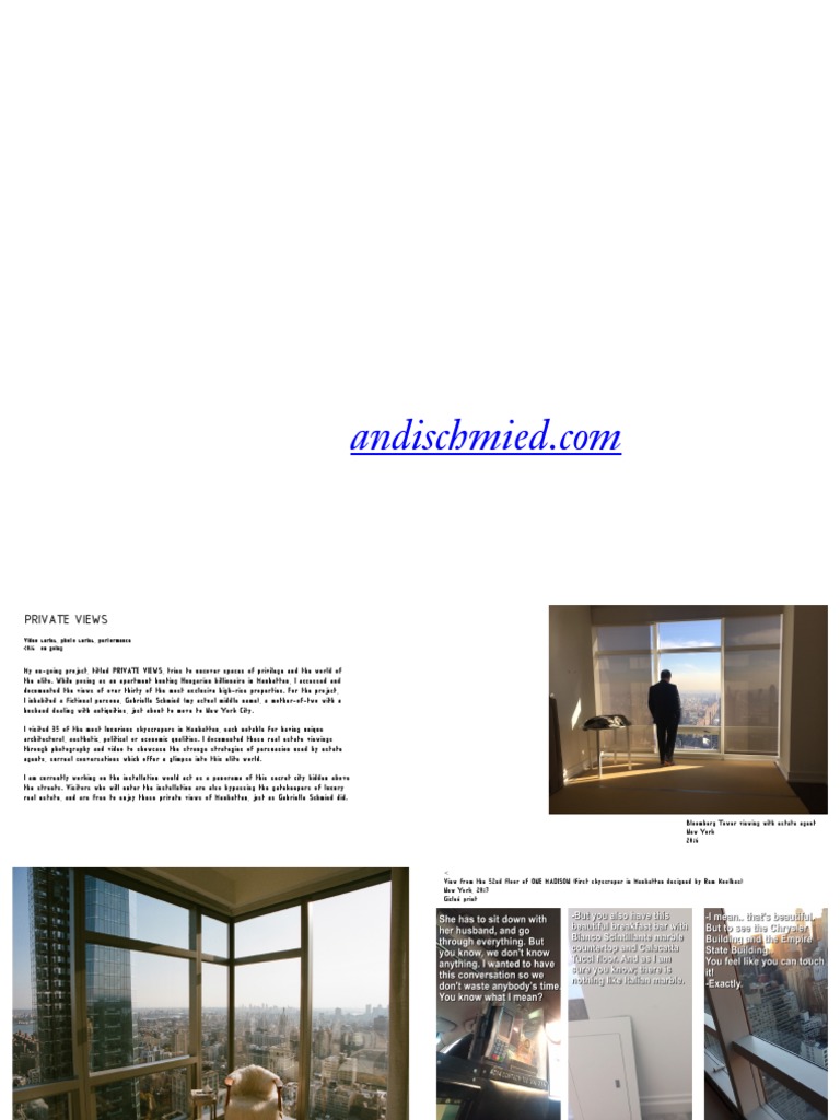 Andi Schmied Portfolio | PDF | New York City | Installation Art