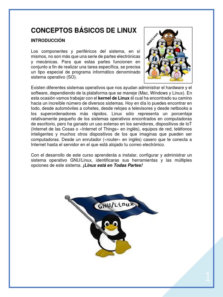 Linux Conceptos Básicos | PDF | Ñu | Software libre