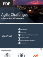 Agile Team Organisation - Squads, Chapters, Tribes and Guilds - Full ...