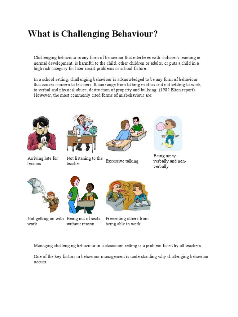 What Is Challenging Behaviour | PDF | Temperament | Aggression