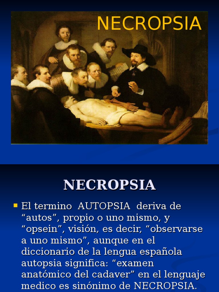 20 Necropsia | PDF | Abdomen | Corazón