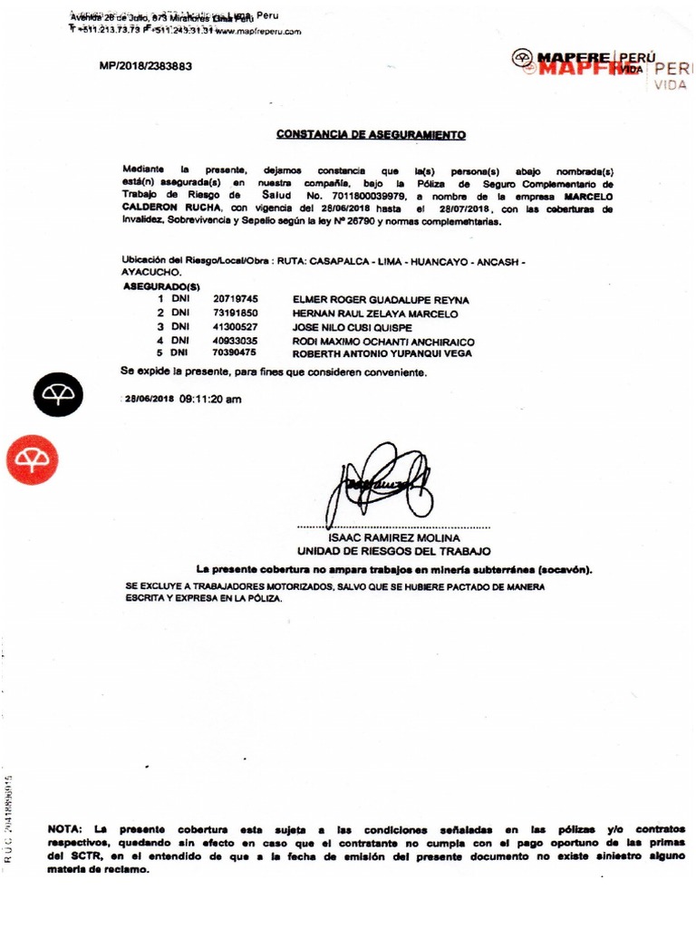 Modelo de SCTR | PDF