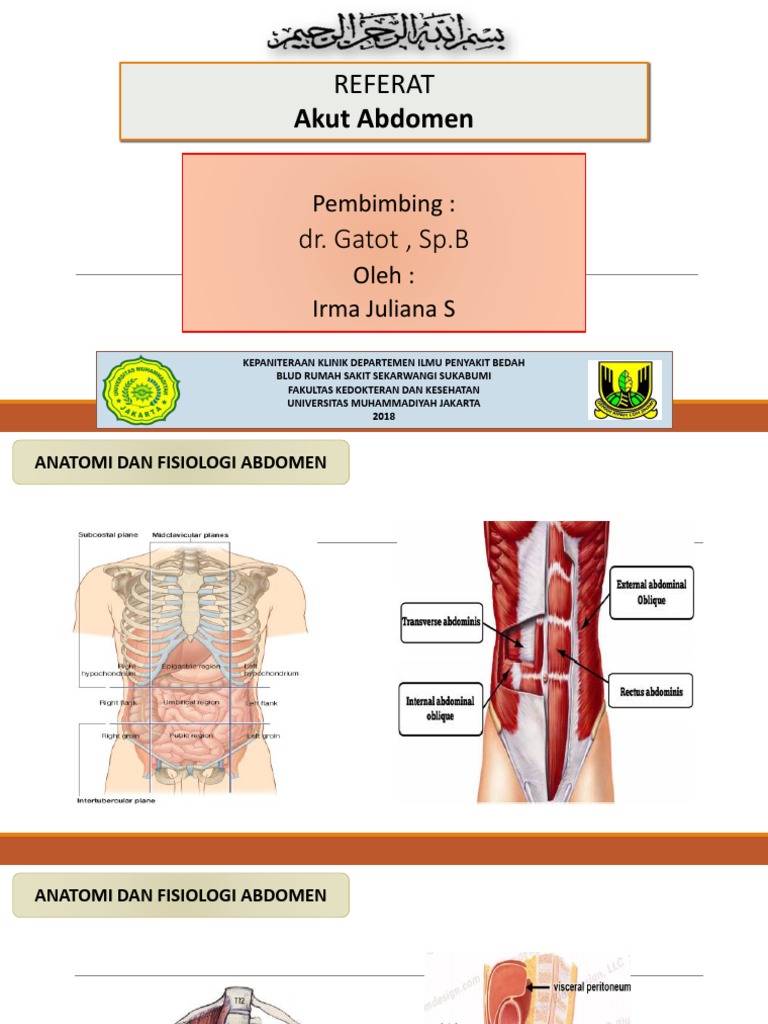 Akut Abdomen | PDF