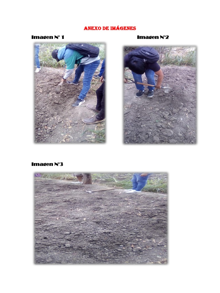 Anexo de Imágenes | PDF