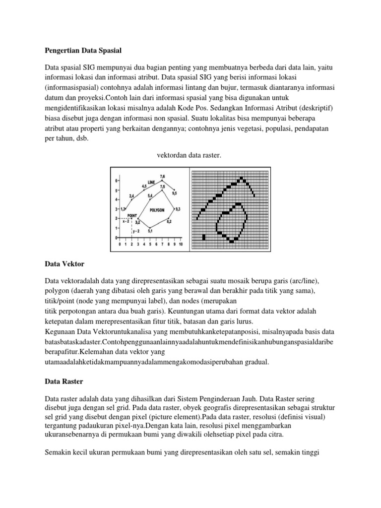 Pengertian dan Jenis Data Spasial | PDF