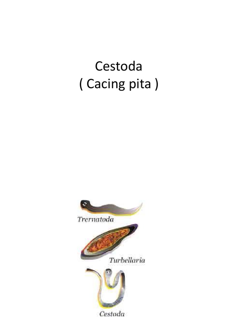 Cestoda: Cacing Pita dan Infeksinya | PDF