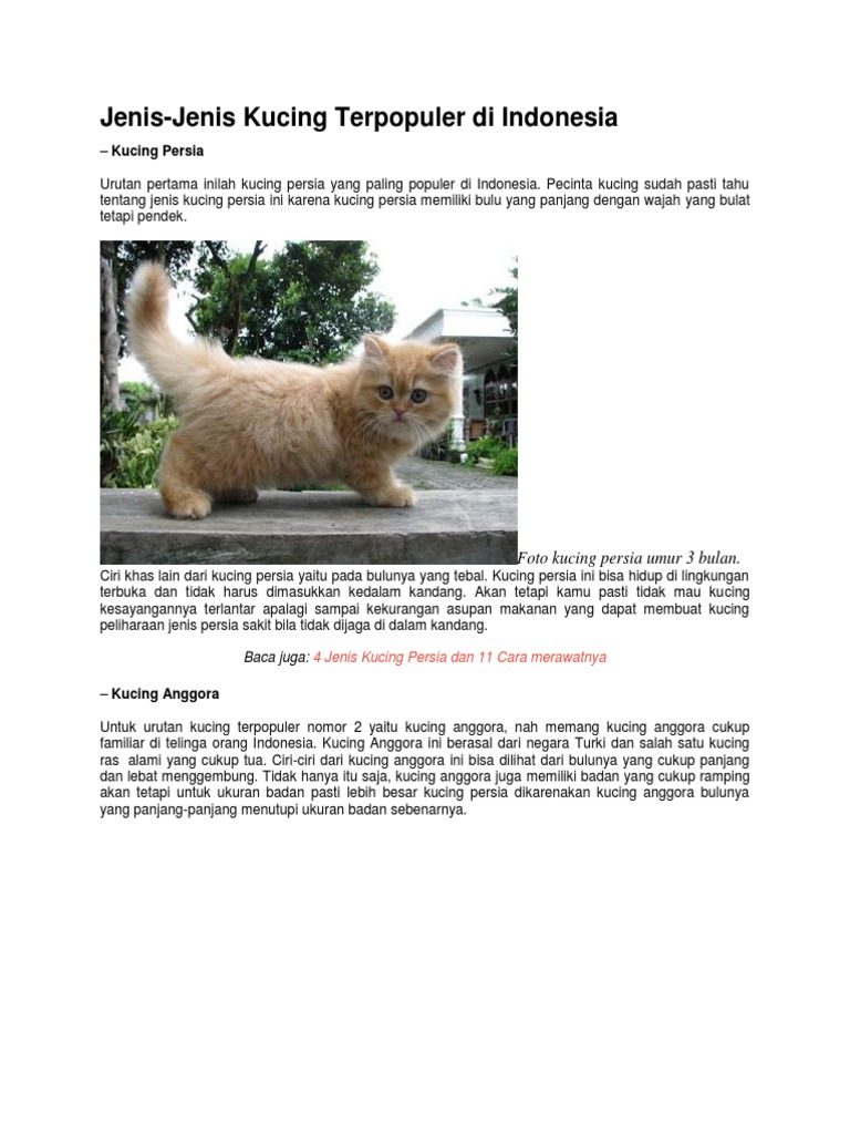 Jenis Jenis Kucing | PDF