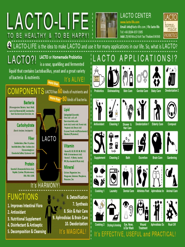 Lacto | PDF | Bacteria | Dietary Fiber