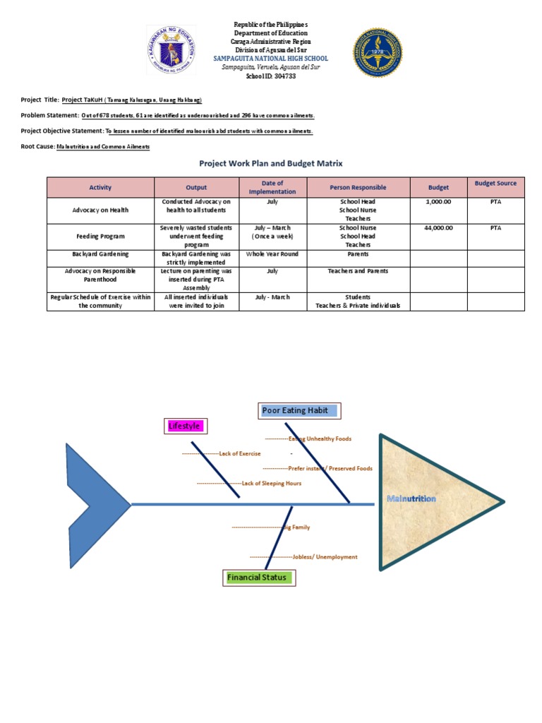 Project Work Plan and Budget Matrix | PDF | Educational Technology ...
