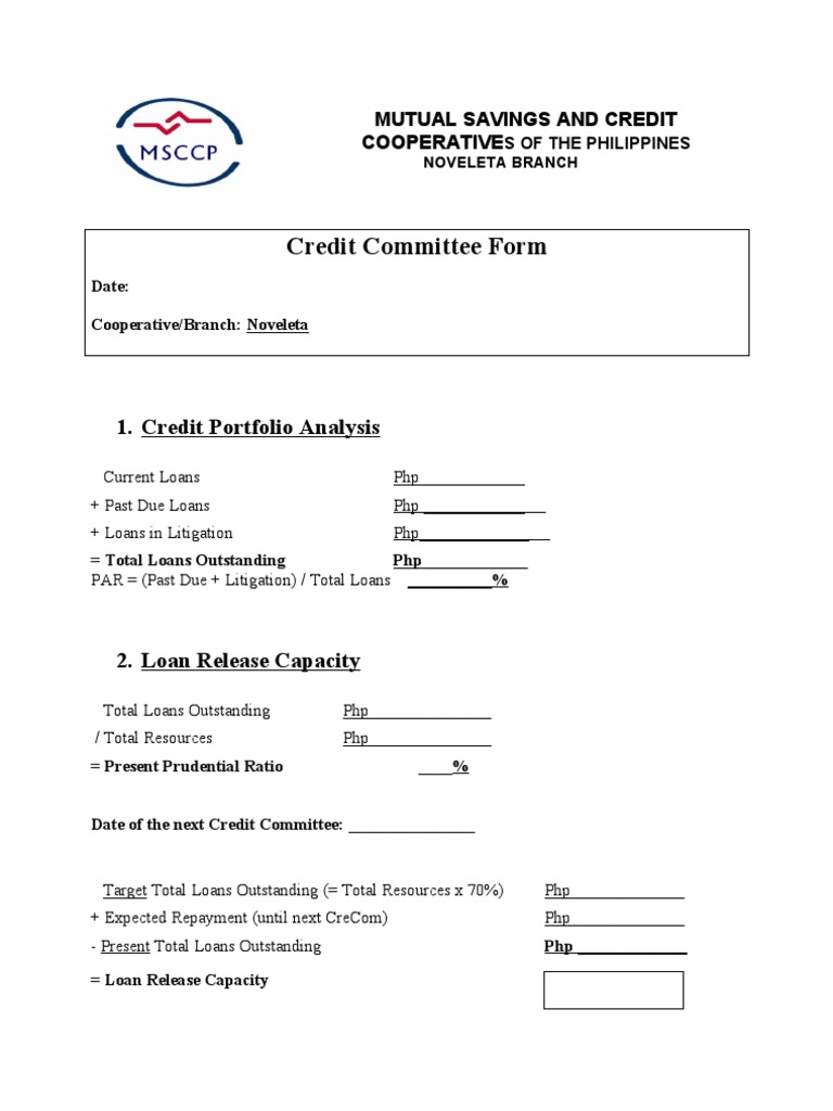 Credit Committee Report Template | PDF