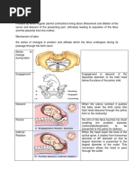 Mechanism of Labour: LOA & ROA Explained | PDF | Pelvis | Childbirth