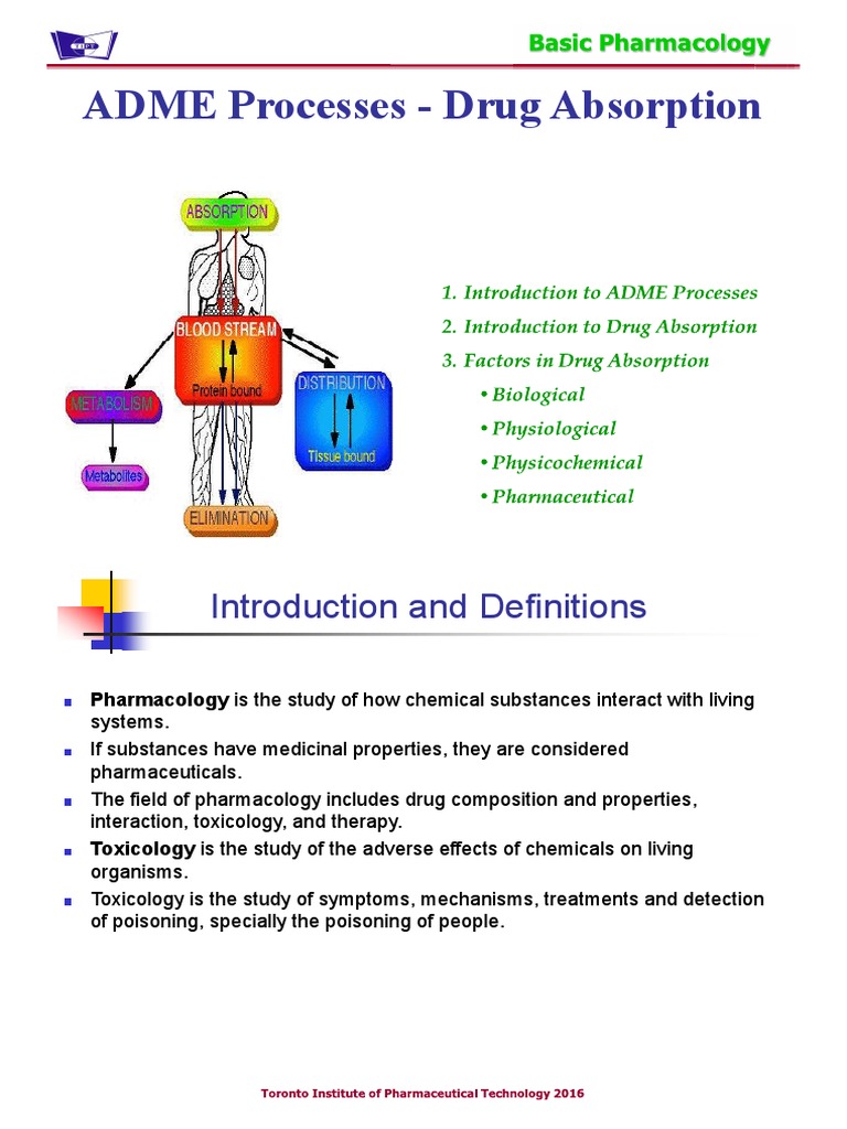 ADME Processes - Drug Absorption | PDF | Cell Membrane | Solubility