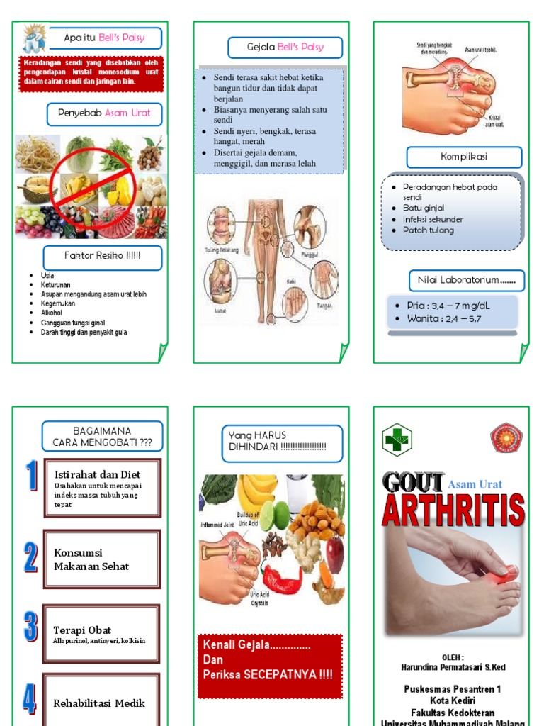 Leaflet Gout | PDF