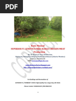 The Boschveld Chicken | PDF | Chicken | Poultry Farming