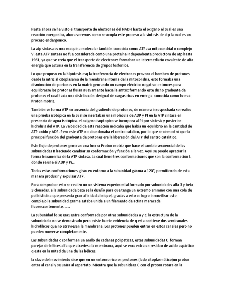 Hasta Ahora Se Ha Visto El Transporte de Electrones Del NADH Hasta El ...