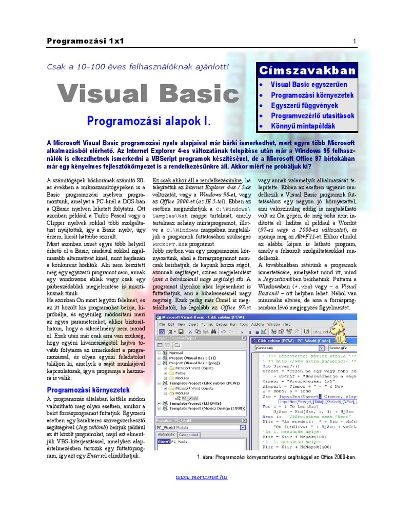 Visual Basic - Programozási alapok 1 | PDF
