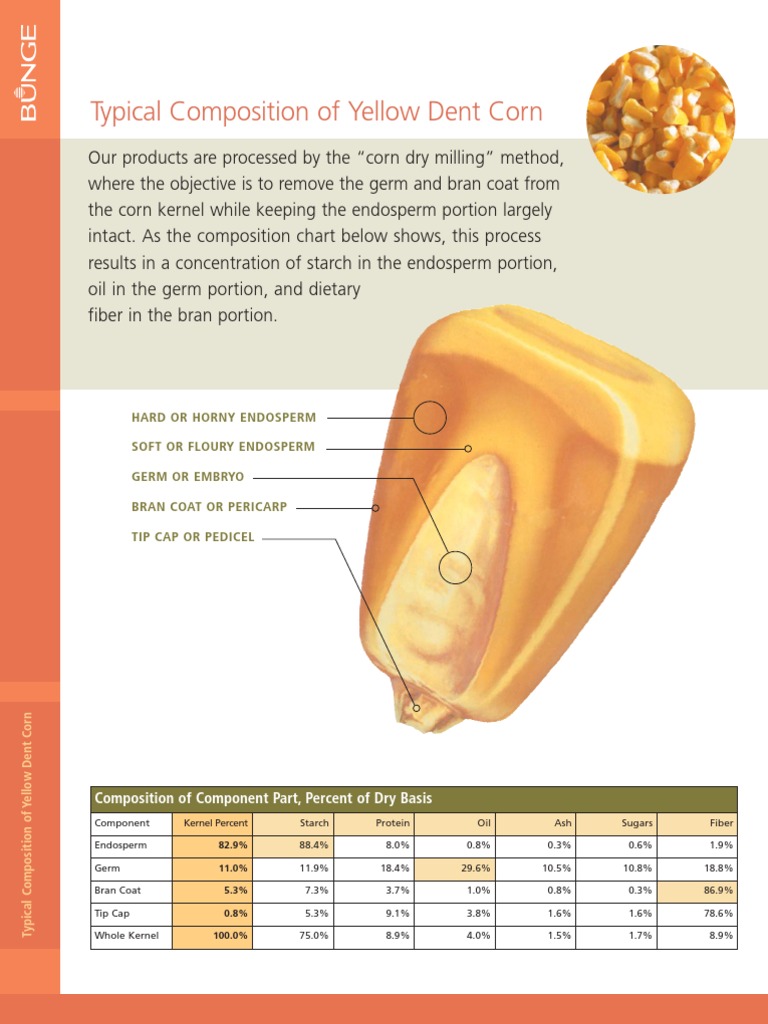 03 Bunge Milling Process Diagram | PDF | Maize | Seed