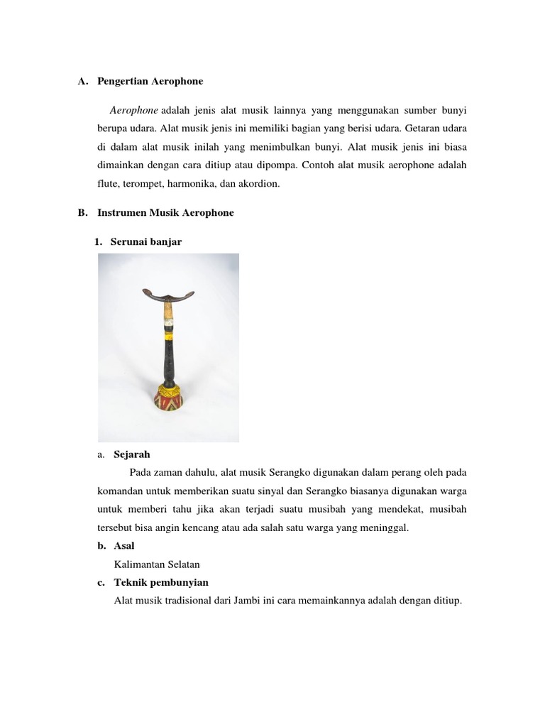 Alat Musik Aerophone | PDF