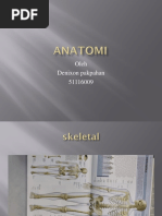 All 206 Bones of The Human Body | PDF | Vertebra | Toe