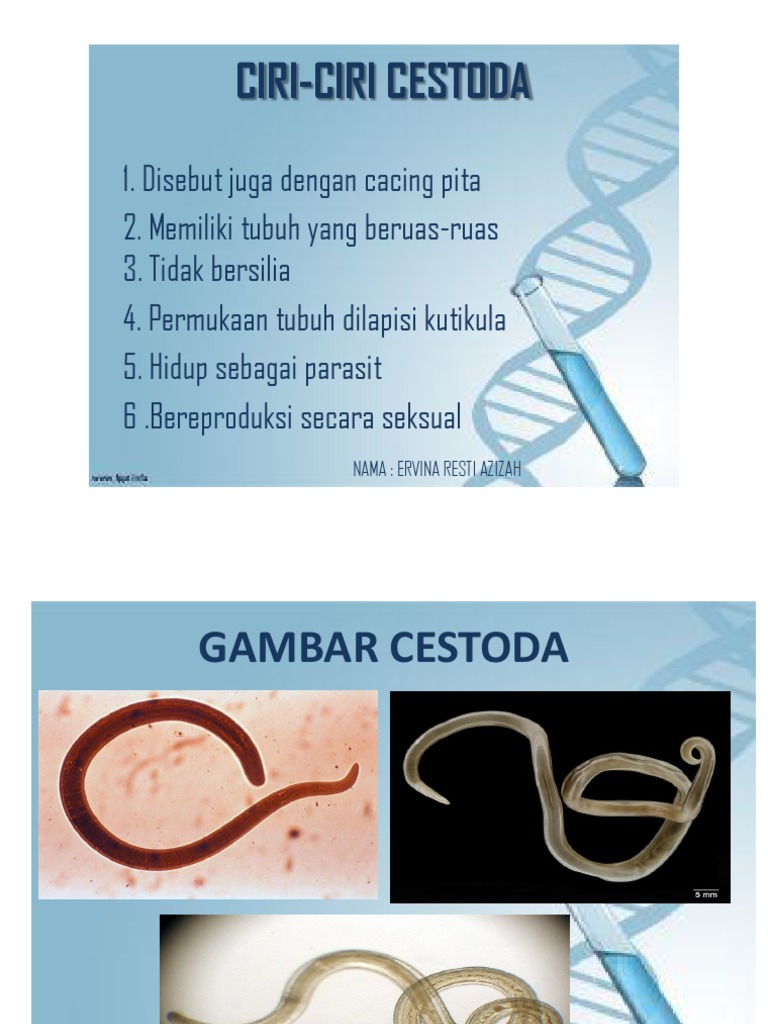 Ciri Ciri Cestoda | PDF