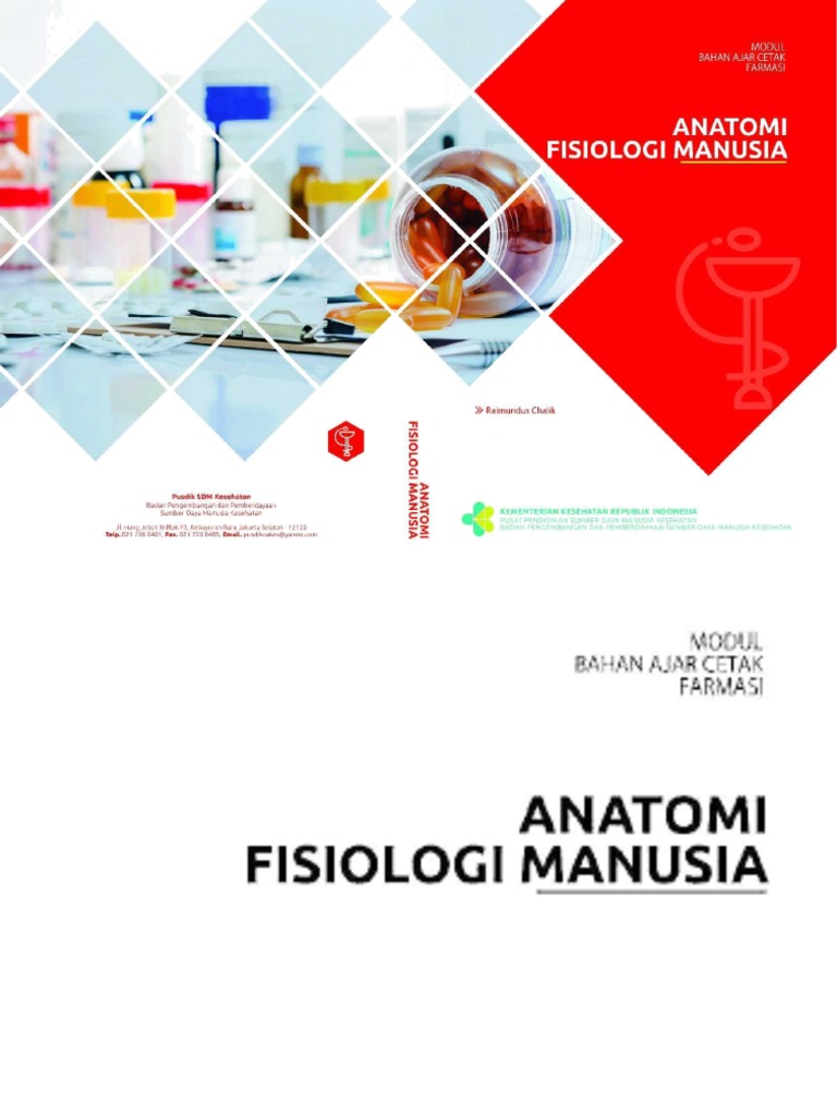 Anatomi Dan Fisiologi Manusia | PDF