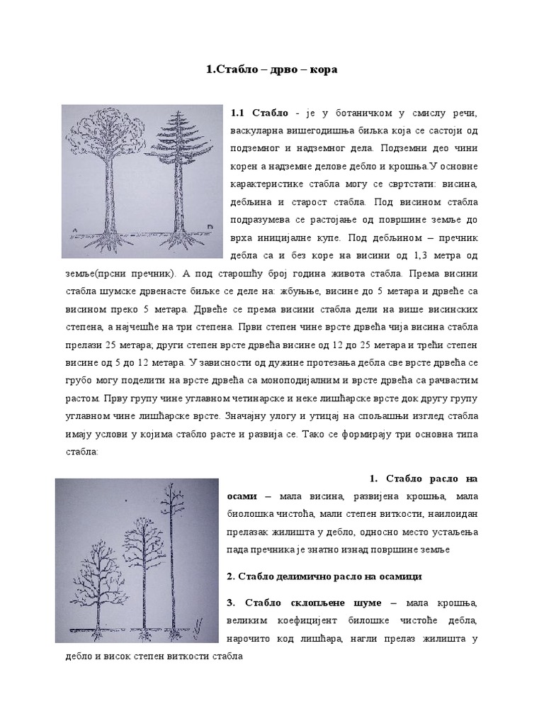 Svojstva Drveta - Skripta | PDF