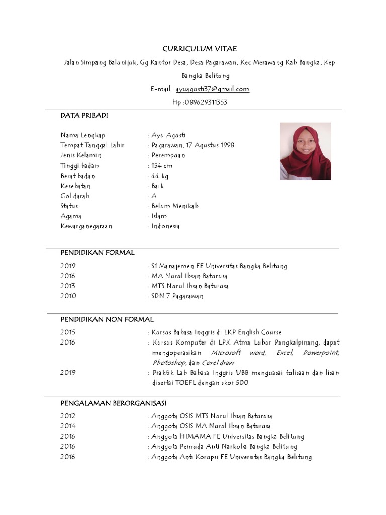 CV Ayu | PDF