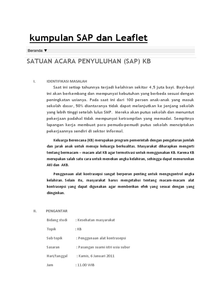 Sap KB | PDF