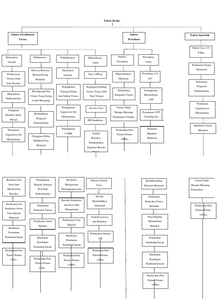 Woc Atonia Uteri | PDF